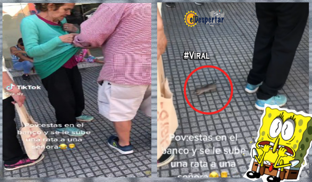 Viral rata se mete a la ropa de señora… - El Despertar de Michoacán