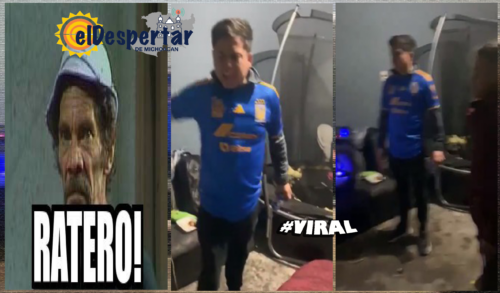 #Viral:Llama Rata al Club América, Fan del Club Tigres y destruye su TV ...